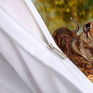 Quilt Cover Queen Size Boxer Dog 3D Bedding Sets Autumn Leaves Duvet Cover Breathable Hypoallergenic Stain Wrinkle Resistant Microfiber with Zipper Closure,beding Set with 2 Pillowcase