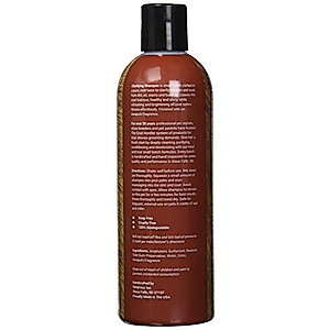 The Coat Handler Clarifying Dog Shampoo, 16 oz - Natural Ingredients, Brightening, Removes Stains and Dirt, Brightens All Coat Colors, Professional Grade Grooming Shampoo, Bulk Concentrated
