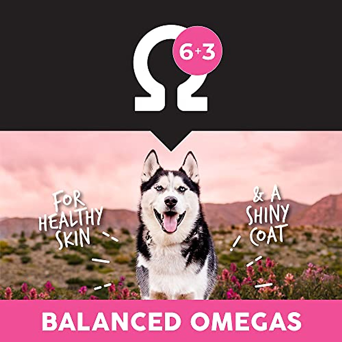 Ultimates Overland Red Grain-Free Dry Dog Food (28 lb. Bag)