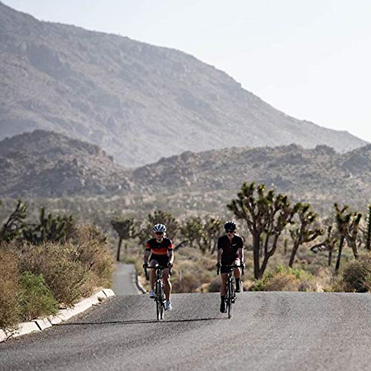 Giro Chrono Sporty Short - Women's Black Medium