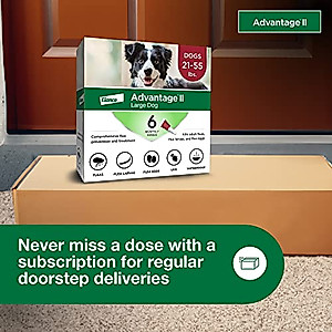Advantage II Large Dog Vet-Recommended Flea Treatment & Prevention | Dogs 21-55 lbs. | 6-Month Supply