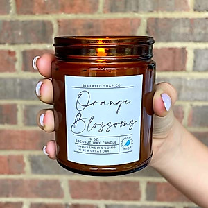 Bluebyrd Soap Co. Fraiser Fir & Pine Scented Candle Jar 9oz. | Amber Glass Holiday Candle Made with Natural Coconut Wax & Non-Toxic Fragrance (Fresh Cut Trees, 9oz)