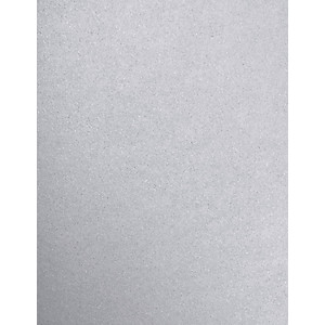 LUXPaper 8.5" x 11" Paper | Letter Size | Silver Metallic | 80lb. Text | 50 Qty