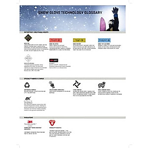 Dakine Men's Titan Gore-Tex Ski and Snowboard Short Gloves, Black, X-Large