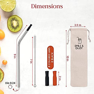 8-Pack Reusable Stainless Steel Straws with Colored & Black Silicone Tips, Straw Cleaner Brush and Polyester Bag, Reusable Straws for Tumblers & Mason Jars