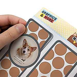 Corgi Dog Breed Set of 3 Glossy Laminated Bookmarks