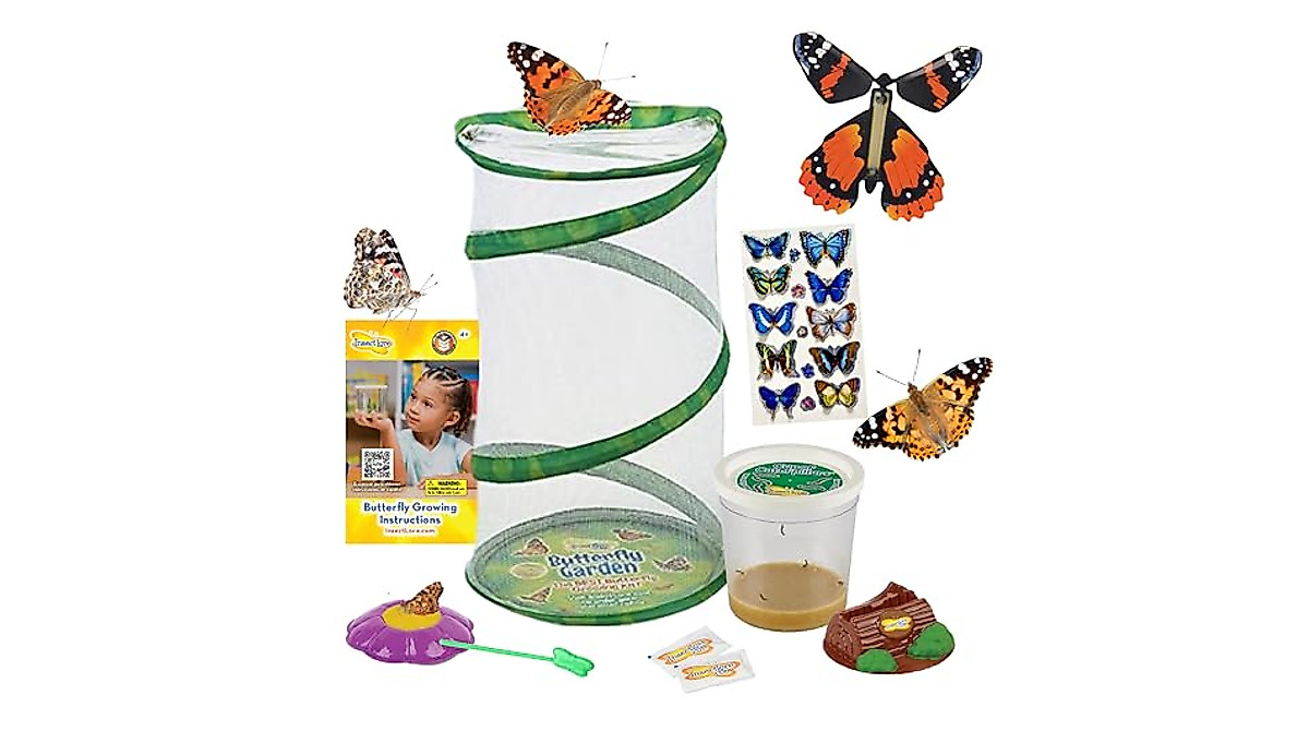 Insect Lore Butterfly Garden Set - Grow Live Butterflies