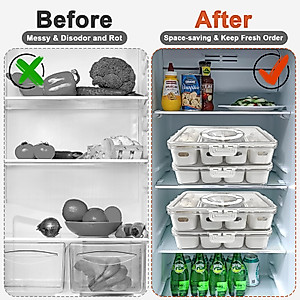 Edovagixa Veggie Tray Snackle Box Container: 4 Compartment Divided Serving Tray with Lid & Handle - Airtight Food Friut Snacks Storage Containers,Snack Box Candy Organizer for Picnic Travel Party