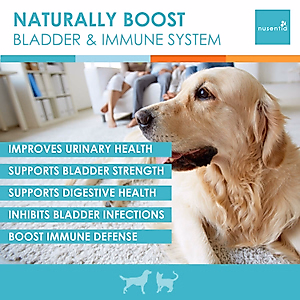 NUSENTIA Urinary & Immune Health Bundle - Natural Bladder Support for Cats & Dogs, Gut Defense, UTI Protection. Probiotics, Prebiotics, Cranberry + D-Mannose. USA