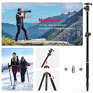 GEEKOTO Camera Tripod, Tripod for DSLR Camera, Aluminum Tripod with 360-Degree Ball Head and Rotatable Center Column, Bag,Video Camcorder Tripod,75-Inch Professional Tripod for Travel and Work.
