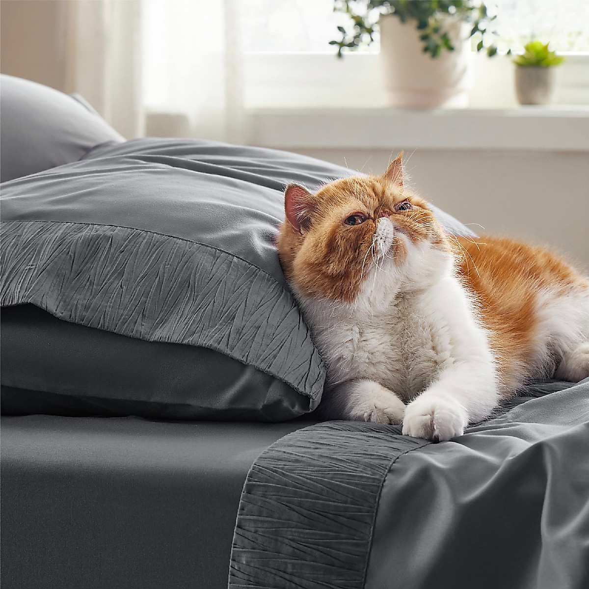 Bedsure Twin Sheets Set Grey - Soft Twin Bed Sheets, 3 Pieces Hotel Luxury Twin Sheets, Easy Care Polyester Microfiber Cooling Bed Sheet Set