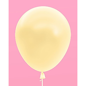 xo, Fetti Party Decorations Latex Balloons - 25 pk, 12" | Camp Bride Bachelorette, Camp Theme Birthday Supplies, Bridal Shower, Outdoor Baby Shower Favors