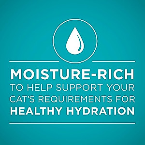 Purina ONE Natural, High Protein Wet Cat Food Variety Pack, True Instinct Turkey, Chicken & Tuna Recipes - (2 Packs of 12) 3 oz. Cans