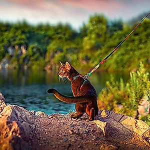 pidan Cat Harness and Leash Set, Cats Escape Proof - Adjustable Kitten Harness for Large Small Cats, Lightweight Soft Walking Travel Petsafe Harness（(Multicolor）