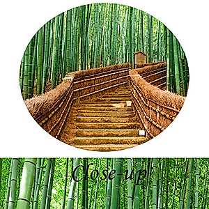 Kreative Arts Motivational Self Positive Office Quotes Inspirational Bamboo Growth Poster Canvas Prints Wall Art for Walls Decoration 20x24inch (Growth)