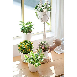 Mkono 6.5" Plastic Planters with Saucers, Indoor Set of 5 Flower Plant Pots Modern Decorative Gardening Pot with Drainage for All House Plants, Herbs, Foliage Plant, and Seeding Nursery, Cream White