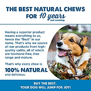 Best Bully Sticks All Natural 12 Inch Braided Bully Sticks for Medium and Large Dogs - easily digestible Limited Ingredient Rawhide Alternative Dog Chew - Free-Range Grass-Fed Beef Dog Treats - 4 Pack