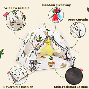 Grand Line Cat Bed Cat House with Mat, Foldable Cat Tent Kitten Teepee Indoor Outdoor, Portable Cute Nest for Cat Dog Puppy up to 10 lbs, Washable Cushion, All Seasons Available (Cactus)