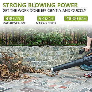 Diivoo Cordless Leaf Blower with 40 V Brushless Motor, 480-CFM/92-MPH Lightweight, Handheld, 2.5 Ah Battery-Powered Blower for Patios and Yards