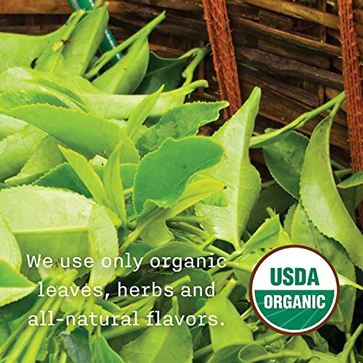 Allegro Tea Organic Decaf Green Tea Bags, 20 Count