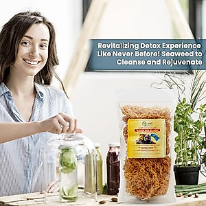 BUIE HOLISTIC HERBS Golden Irish Sea Moss, Pure Wildcrafted, Nutrient-Rich, Dr. Sebi Inspired - Makes 120+ oz Gel | Pure & Natural Raw Gold Irish Sun - Dried Sea Moss for Health & Wellness / (8 oz)