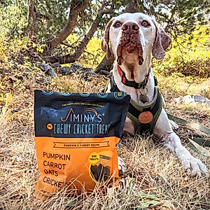 Jiminy's Cricket Treats - Chewy Hypoallergenic Dog Treats, 100% Made in The USA , Cricket Dog Treats, Gluten-Free, Sustainable, All Natural Dog Treats, High Protein - Pumpkin & Carrot, 6oz Bag
