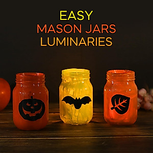 Mcupper Mason Jars 16 oz with Lids and Bands, 15 Pack Regular Mouth Canning Jars, Clear Glass Jars for Canning, Food Storage and Fermenting, Labels & Brusher Included - Microwave & Dishwasher Safe