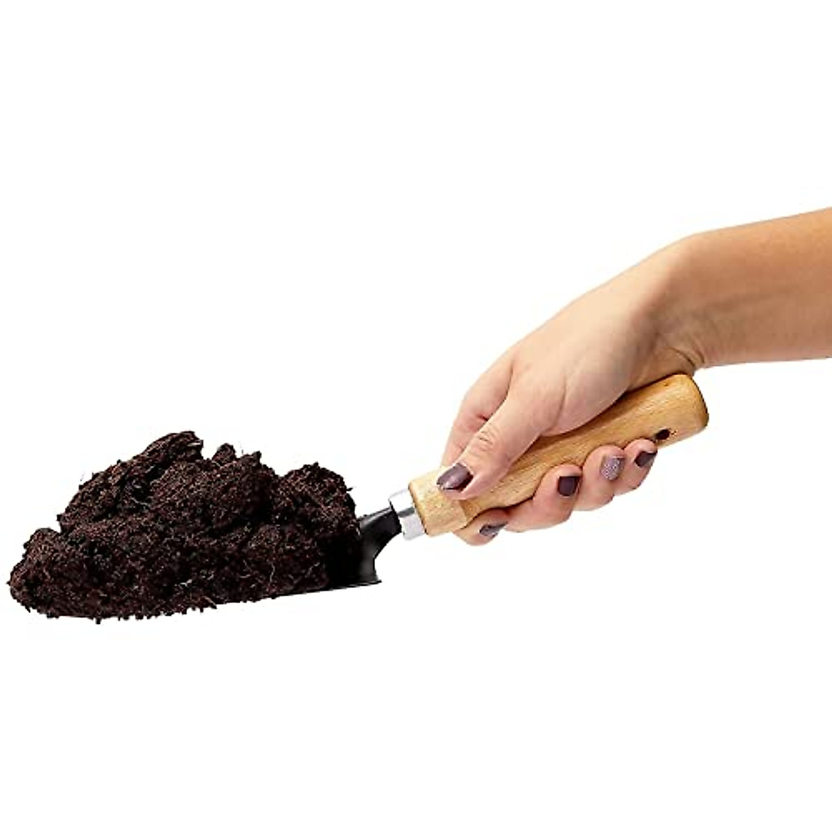 12 Pack Compressed Coco Coir Seed Starter, 0.55lb Soil Brick for Gardening