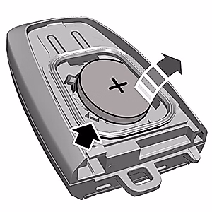 Key Fob Battery Replacement Compatible with Ford F-Series (F-150 F-250 F-350 F-450, F-550) (2018-2021 Smart Key (CR2450 Battery))