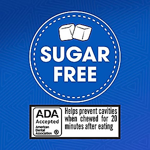 Trident Original Flavor Sugar Free Gum, 14 Pieces (Pack of 24) (336 Total Pieces)