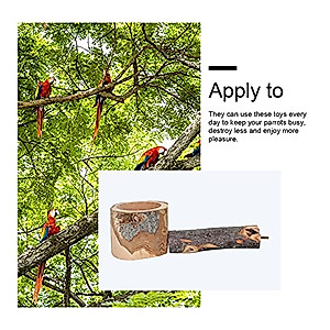 Happyyami 1 Pc Bird Food Bowl Bird cage Food Dish Birds Food Bowl Birds Feeding Dispenser Hamster Ladder Toy Bird Water Container Bird Feeding Dish Cups Pigeon Rest Vertical Wood Stand