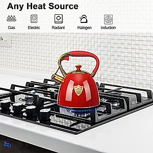 Tea Kettle -2.9 Quart Tea Kettles Stovetop Whistling Teapot Stainless Steel Tea Pots for Stove Top Whistle Tea Pot