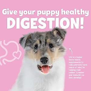 Snuggle Puppy Puppy Bites Gut Health Supplement - Dog Probiotics & Prebiotics for Gut Health - Pet Supplement and Supplies for Dog Health - Dog Digestive Health Support - 60 Soft Chews