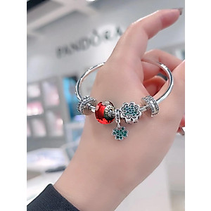 TIFVGEV 2pcs Murano Glass Charms for Pandora Bracelets, Authentic 925 Sterling Silver Charms for Bracelets, Red Charms for Women