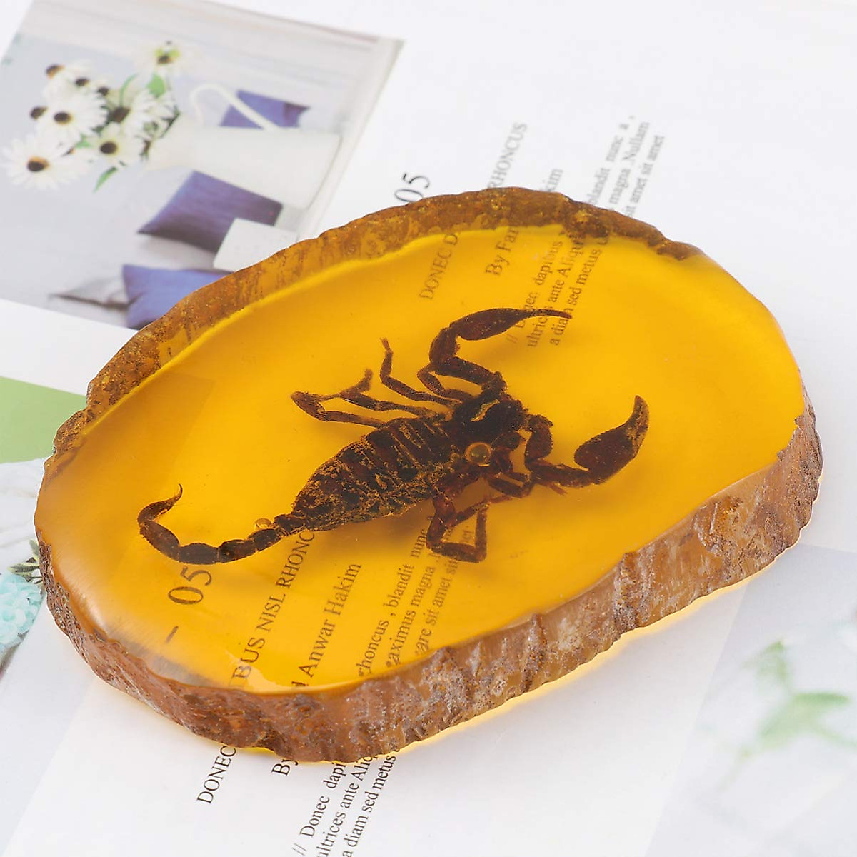 Garneck Amber Fossil Insect,Artificial Amber Insect Specimen Pendant Butterfly Scorpions Insects Amber Stone Ornament for Collection(Scorpion)