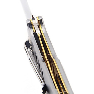 Sanrenmu 7046 Folding Pocket Knife with Tanto Blade Multi function Knife (Grey&Golden)