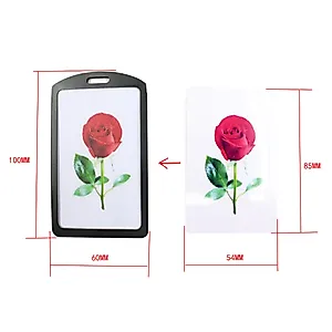 Aluminum Badge Holder with Detachable Neck Lanyard/Strap for ID Card, Working Card, Name Tag (Black)