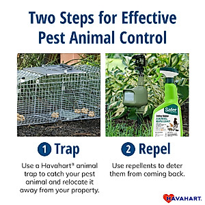 Havahart 1083 Catch and Release Small 1-Door Easy Set Humane Live Animal Trap for Squirrels, Rabbits, Skunks, and Other Small Animals