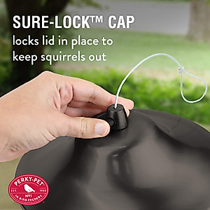 Perky-Pet 312-1SR Outdoor Panorama Wild Bird Feeder - 2 Lb Seed Capacity