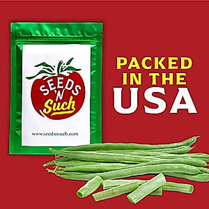 Seeds N Such 1310 Hand Selected Spring Vegetable Garden Seeds | Includes 5 Individually Packaged Seeds Tomatoes, Blue Beans, Cucumbers, Lettuce & Peppers | Untreated & Non-GMO