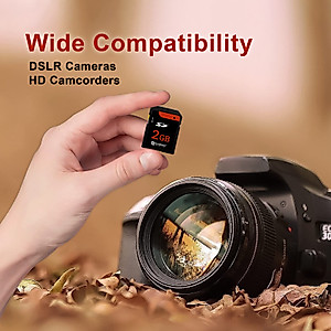 Nikon Coolpix 3200 Digital Camera Memory Card 2GB Standard Secure Digital (SD) Memory Card