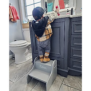 Dibsies Step Stool with Storage (Pink)