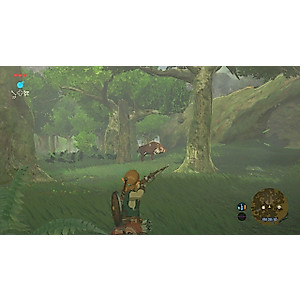 The Legend of Zelda: Breath of the Wild Master Edition - Wii U