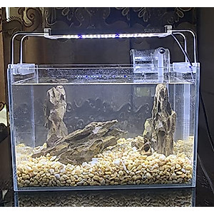 AWXZOM 4.4lb+ Natural Dragon Rock Carefully Selected Mixed Sizes, Decorative Aquarium Rocks, Aquarium Stones for Fish Tank