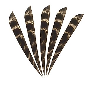 MILAEM 50 Pcs 5 Inch Archery Real Turkey Feather Fletching Arrow Feather Vanes DIY Archery Right Left Wing Feathers (Left Wing 2)