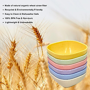 8 Pack Small Bowls, 4.5 OZ Wheat Straw Bowls Soy Sauce Dish, Unbreakable Dessert Bowls, Assorted Colors Dipping Sauce Cups, Small Plastic Bowls Prep Bowls for Side Dishes, Dessert, Snacks, Sauce