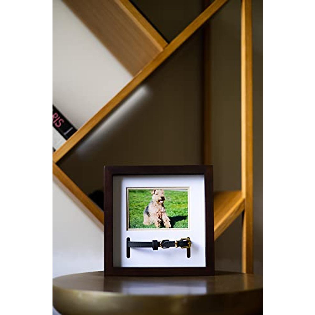Pearhead Pet Collar Keepsake Frame, Pet Memorial Picture Frame, Pet Owner Home Decor, Cat Or Dog Keepsake, 3" x 4.5" Photo Insert, Wall Mount And Tabletop Frame, Espresso