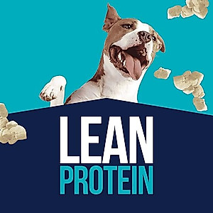 Stewart Single Ingredient Freeze Dried Raw Dog Treats, Chicken Breast, 3 Ounce Resealable Pouch, Training Treats or Meal Topper for All Size Dogs, High Protein, Grain-Free, Gluten-Free