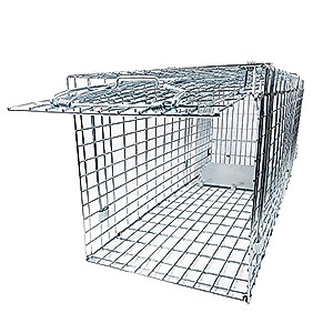 Large Collapsible Humane Live Animal Cage Trap No-Kill Trapping Kit for Humane Catch Release Rabbits, Stray Cat, Squirrel, Raccoon, Other Fit Sized Animals, Heavy Duty, 2-Door -31" x 11.5" x 12.5"