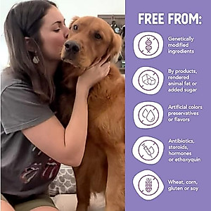 Health Extension Little Cups Grain-Free Wet Dog Food, Small Breed - Turkey 3.5 oz - Complete & Balanced, Easy to Digest, Ideal for Picky Eaters (Case of 12 Cups)